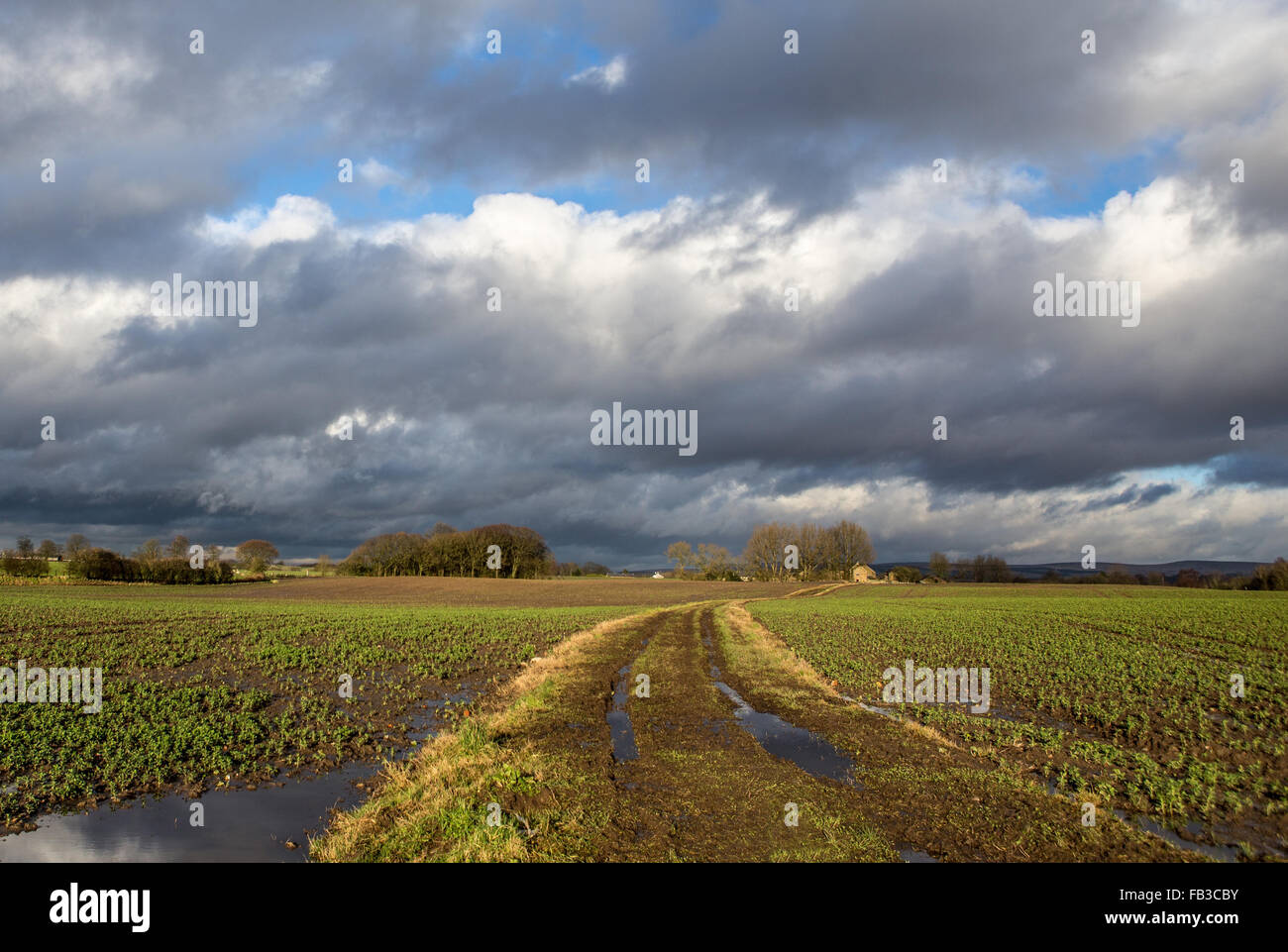 remote farmhouse in the distance under a threatening sky. Strong ...