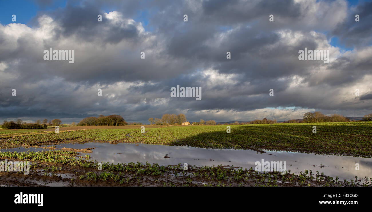 remote farmhouse in the distance under a threatening sky. Strong ...
