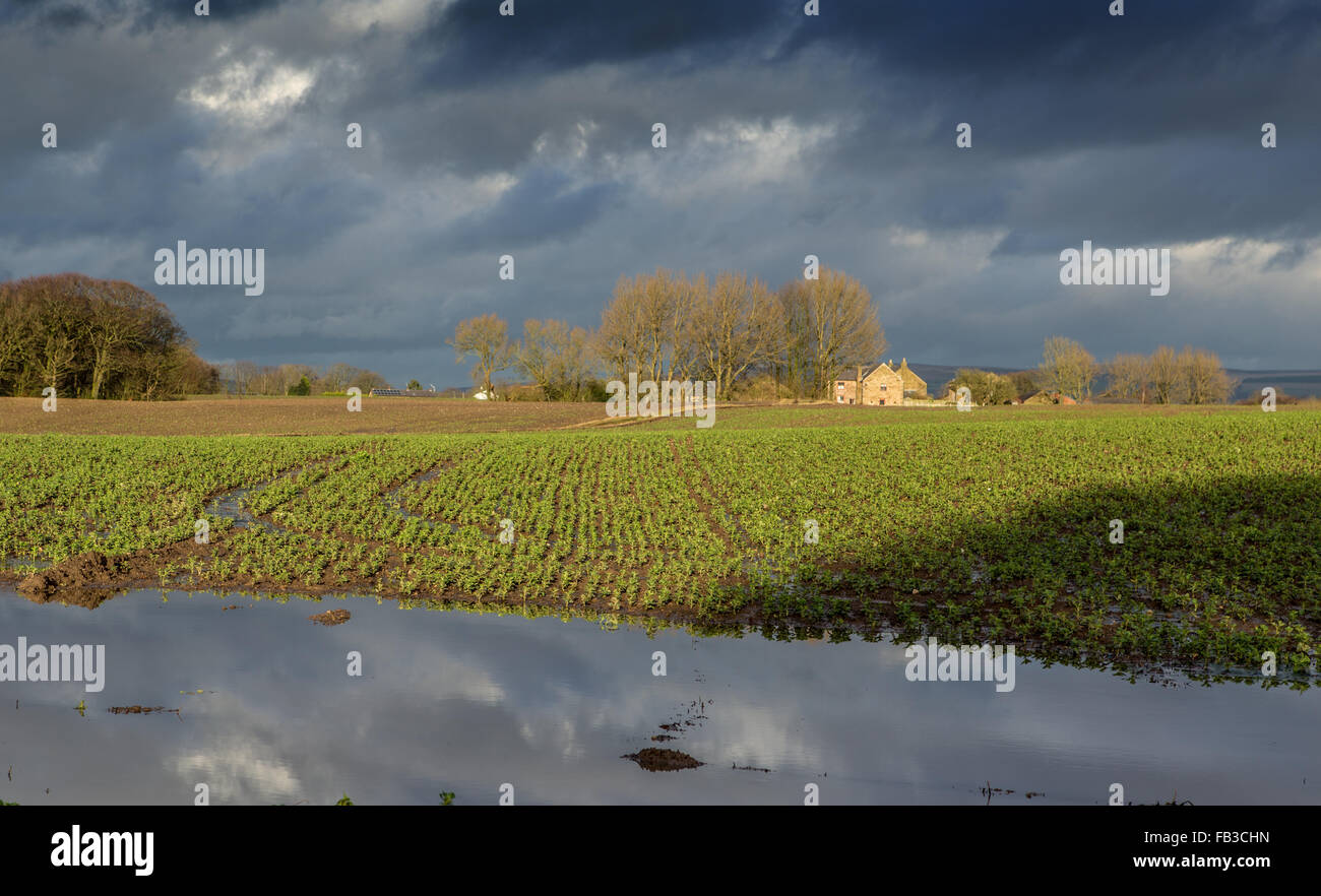 remote farmhouse in the distance under a threatening sky. Strong ...