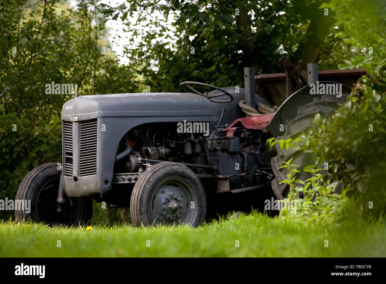 1955 ferguson tractor hi-res stock photography and images - Alamy
