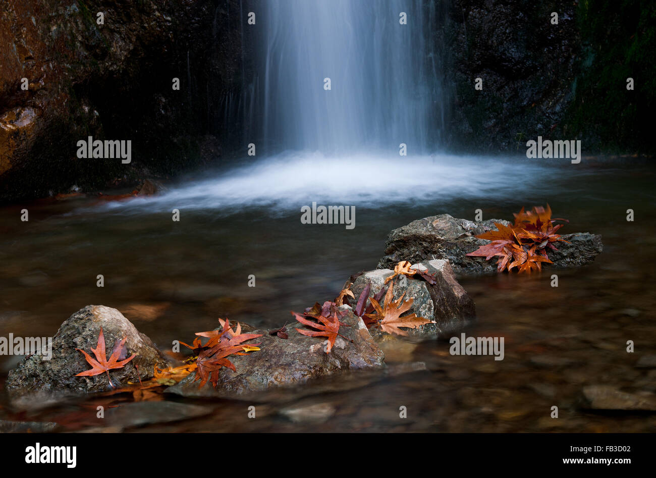 Waterfall creating a small beautiful lake with rocks and leaves Stock ...