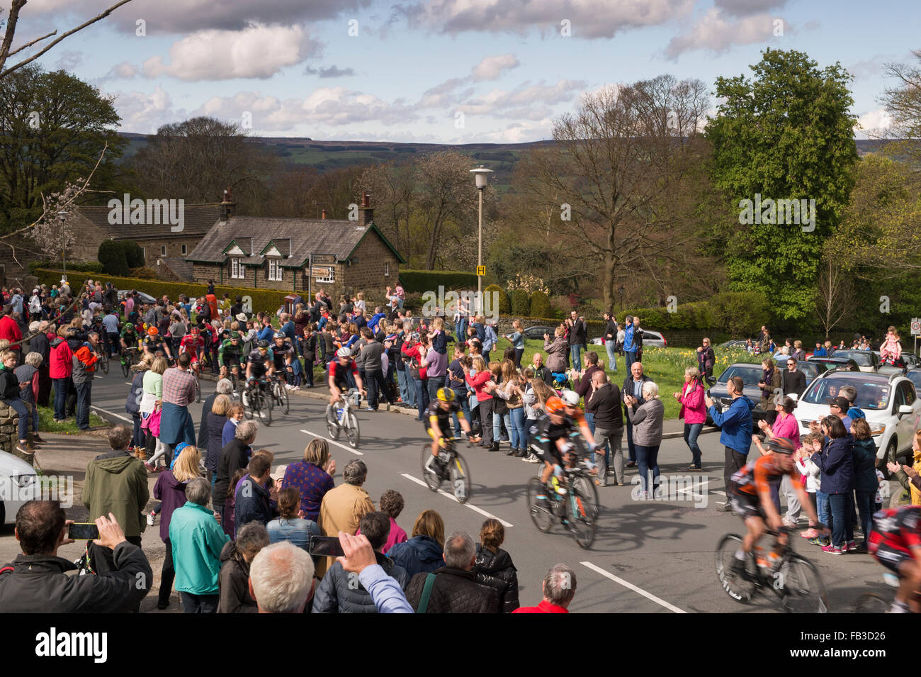 Cyclists competing in the Tour De Yorkshire race (2015) pass cheering ...