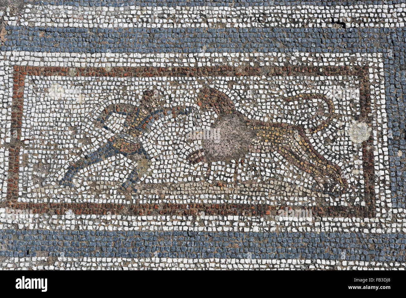 Ruins of the ancient Agora complex, Kos Town, Kos Island, Dodecanese ...