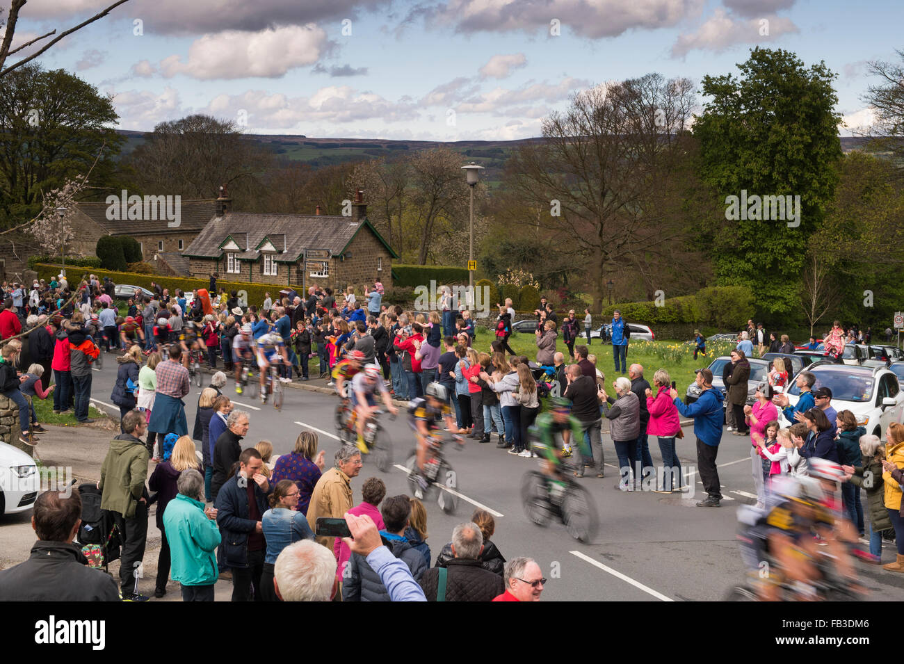 Cyclists competing in the Tour De Yorkshire race (2015) pass cheering ...