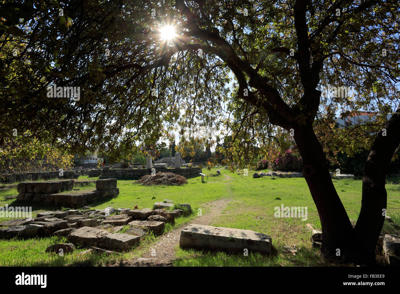 Ruins of the ancient Agora complex, Kos Town, Kos Island, Dodecanese ...