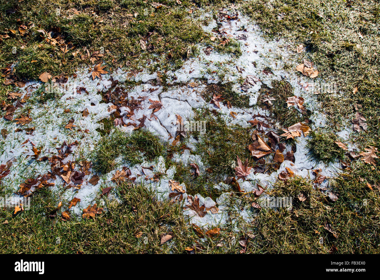 Dead grass winter hi-res stock photography and images - Alamy