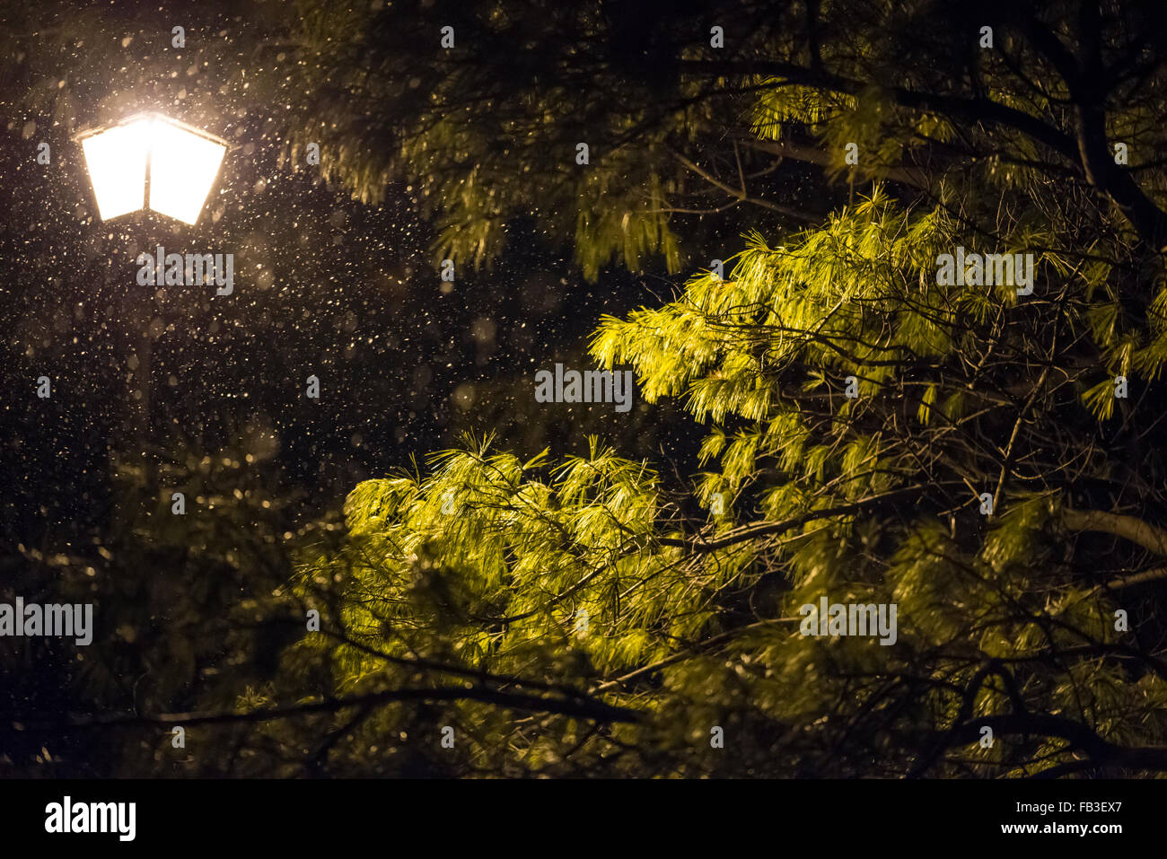 Snow Falling At Night Stock Photos & Snow Falling At Night Stock Images ...