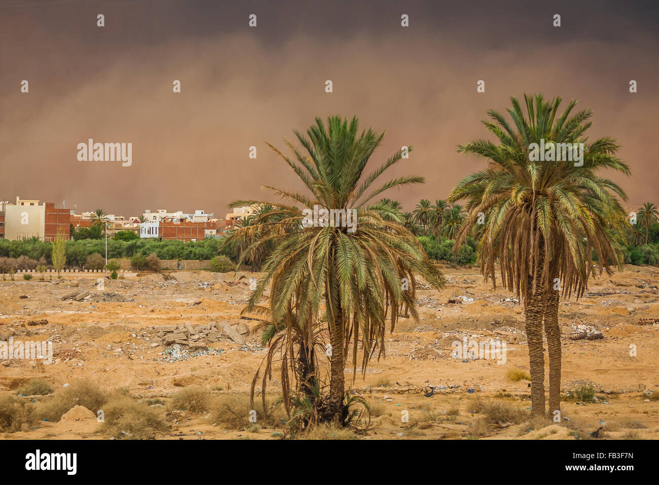 Sandstorm in Gafsa,Tunisia Stock Photo - Alamy