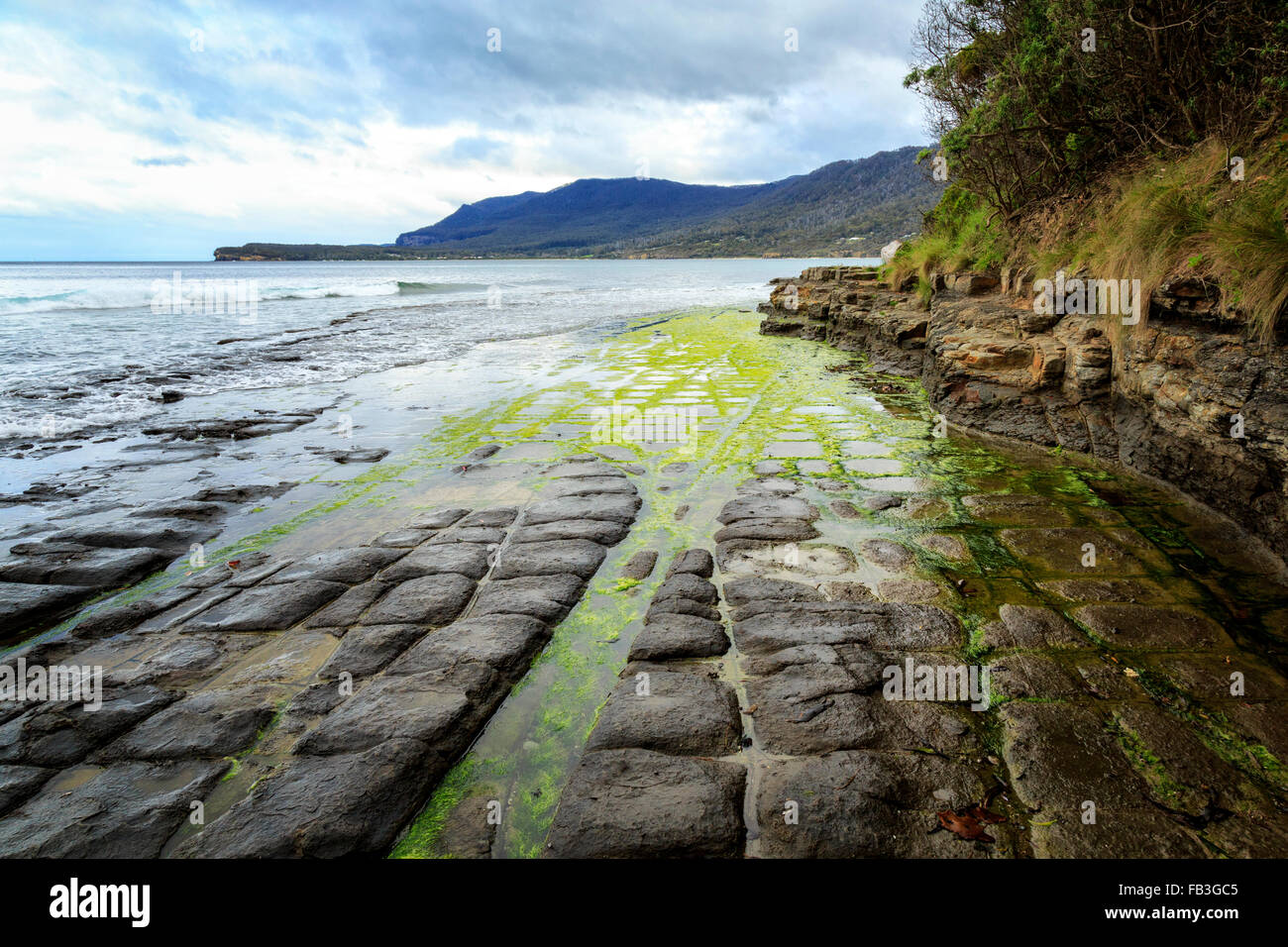 Tessellated Pavements, Eaglehawk Neck, Tasmania, Australia Stock Photo ...