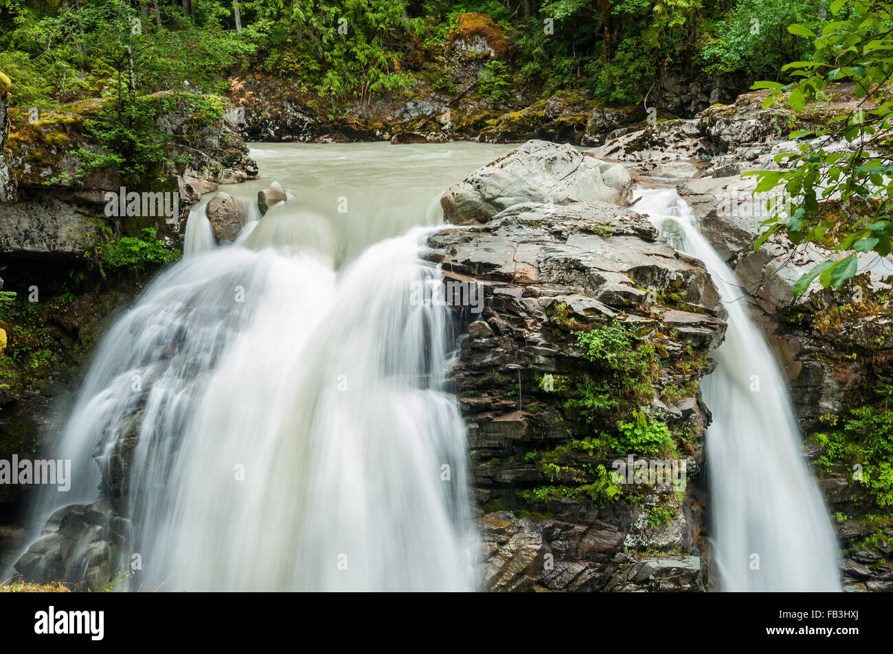 The forked top of Mount Baker's Nooksack Falls surrounded by summer ...