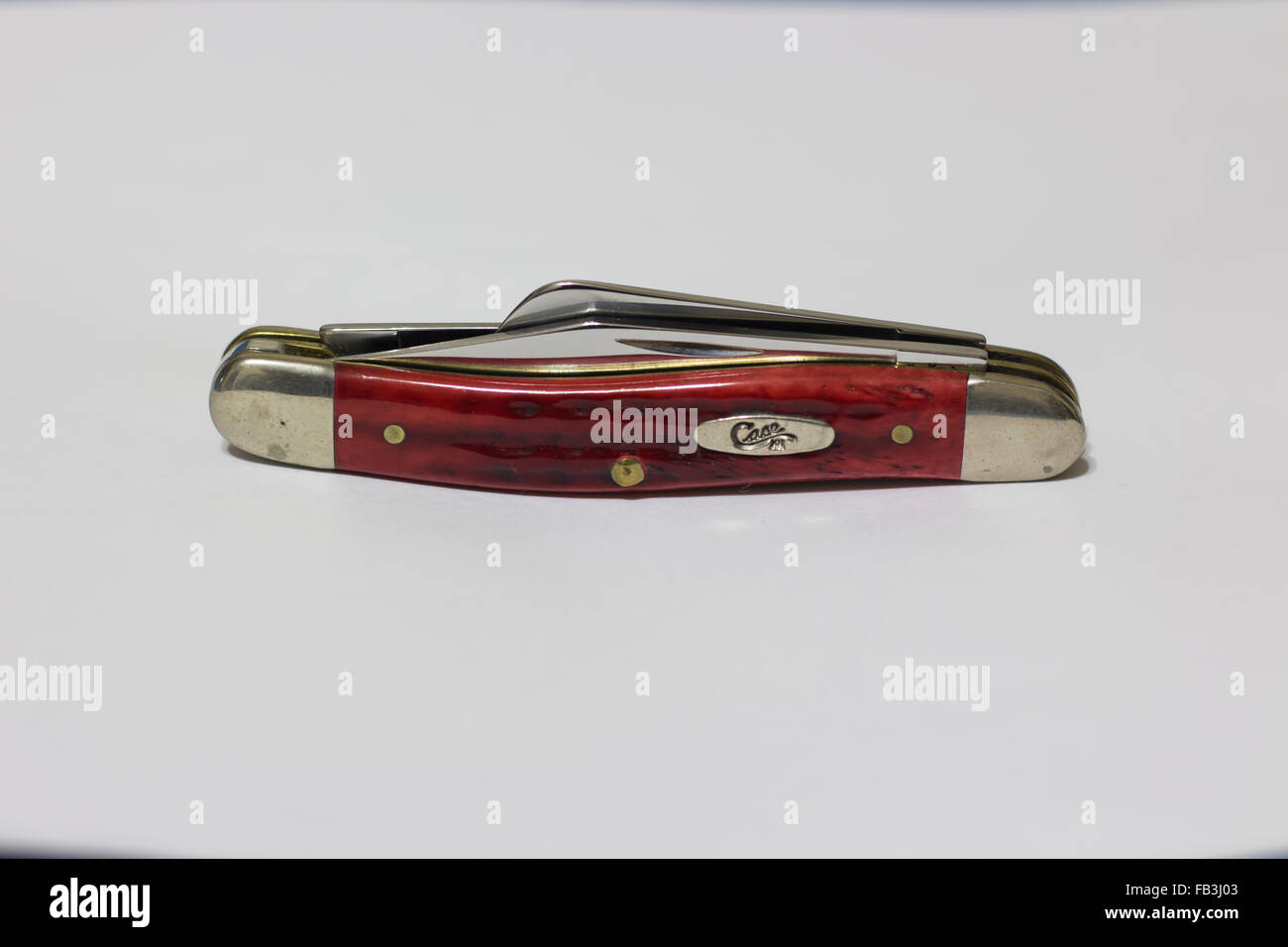 Case Xx Identification