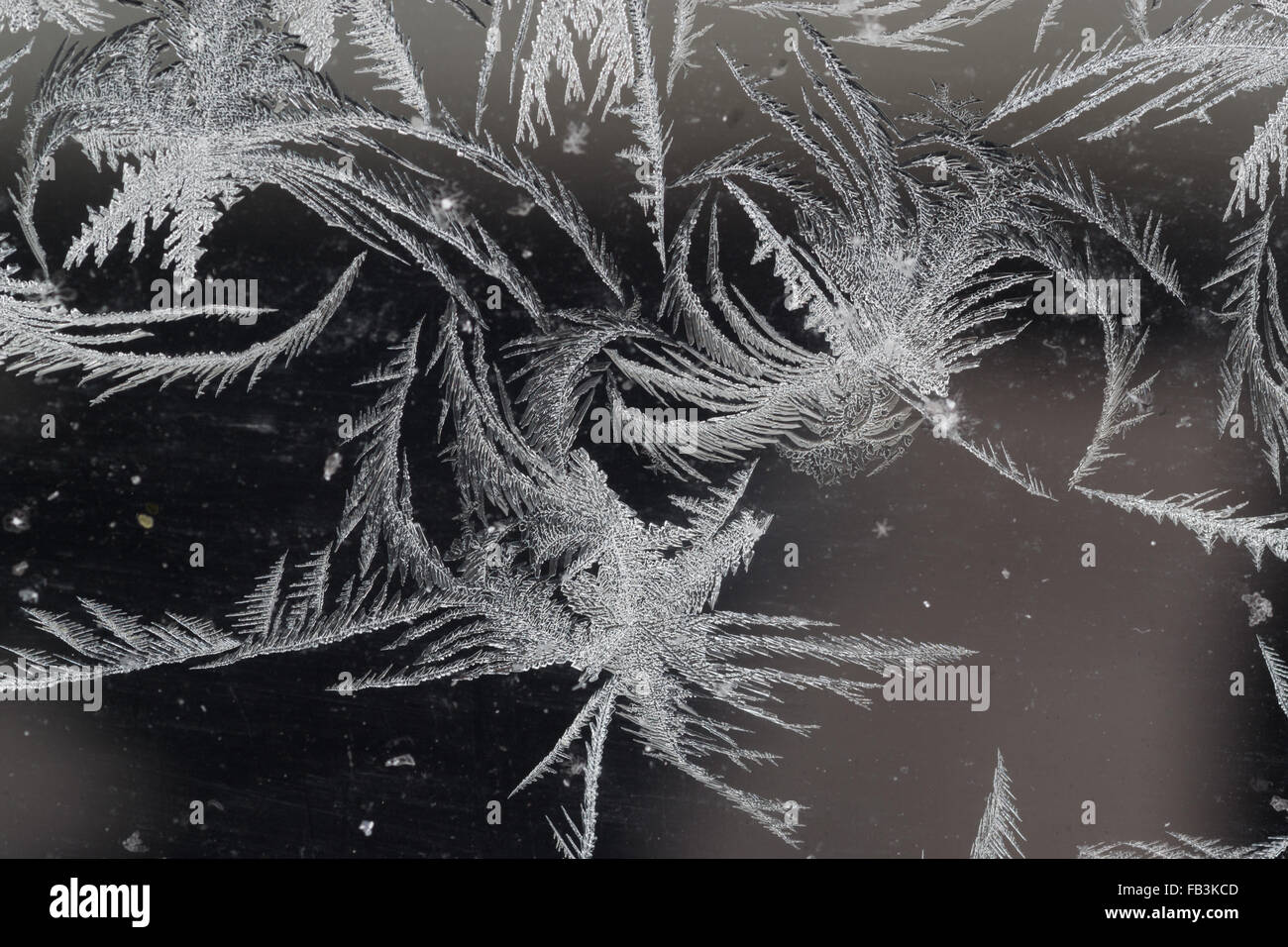 close-up of traditional winter ice crystal patterns on a clean glass ...