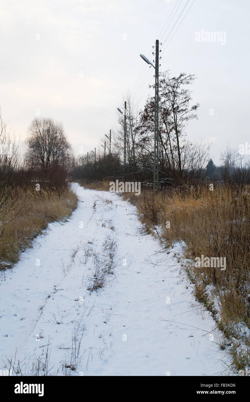 Snow covered weeds hi-res stock photography and images - Alamy