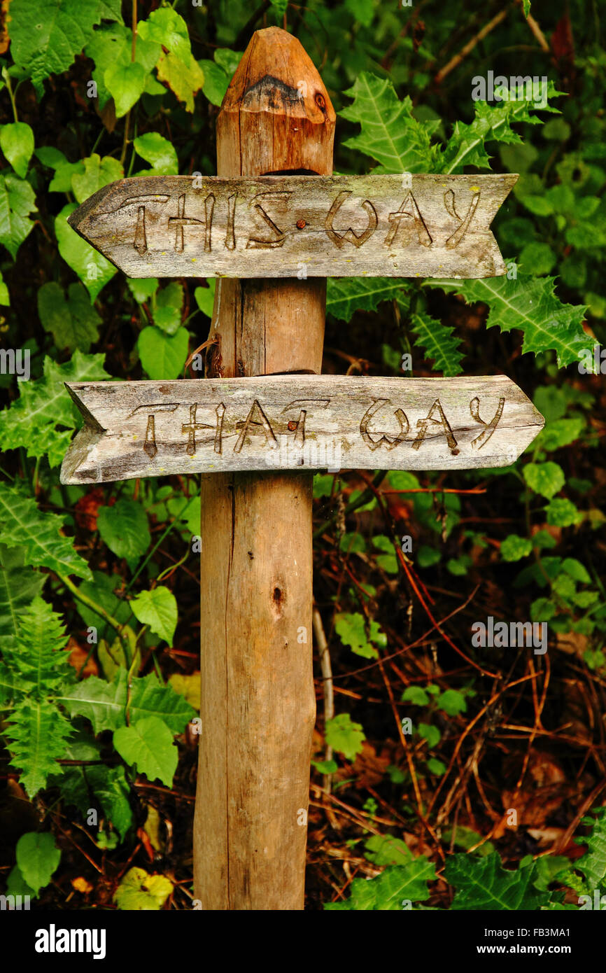 Pathway guide hi-res stock photography and images - Alamy