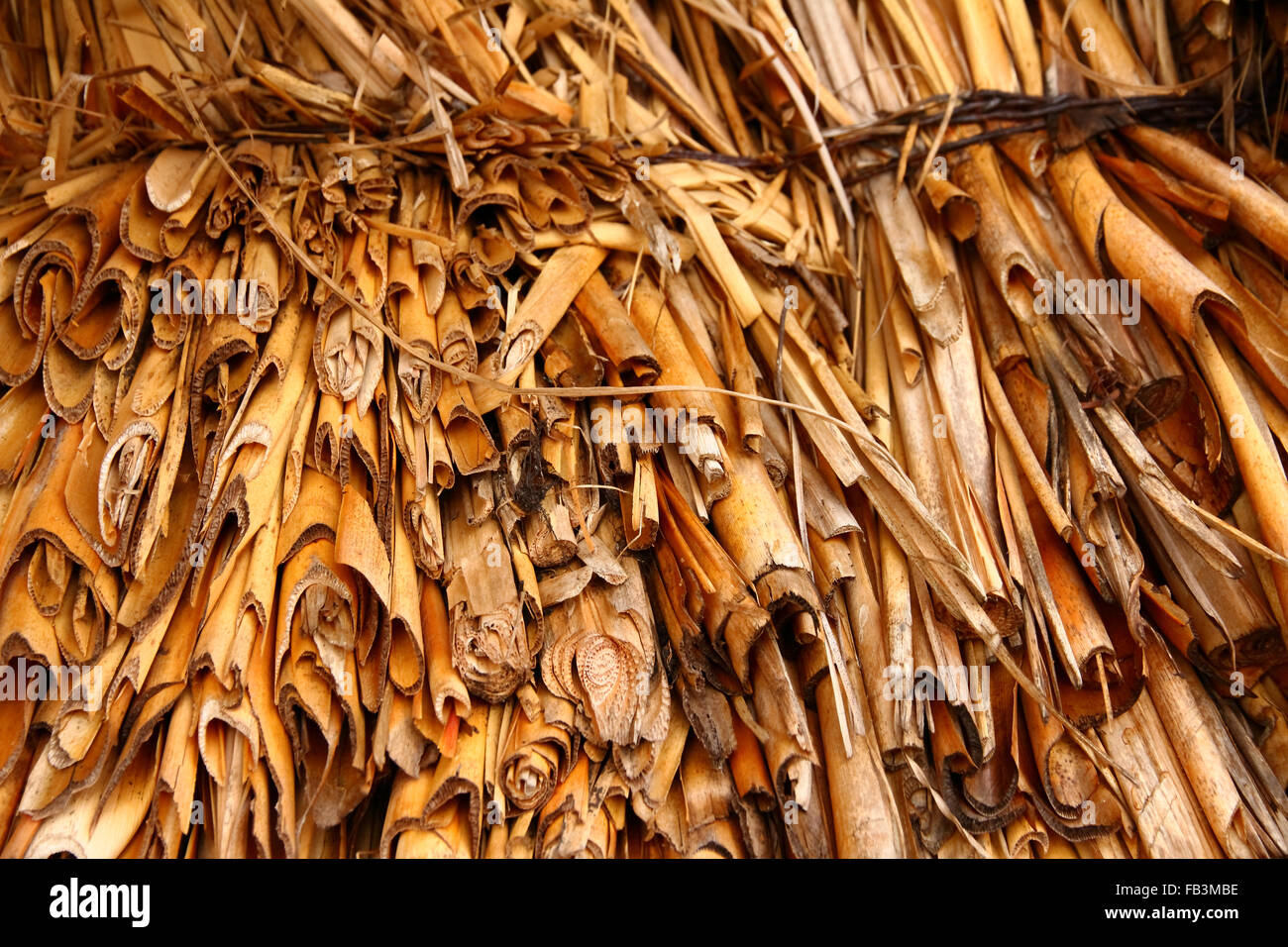 Grass thatch roof hi-res stock photography and images - Alamy