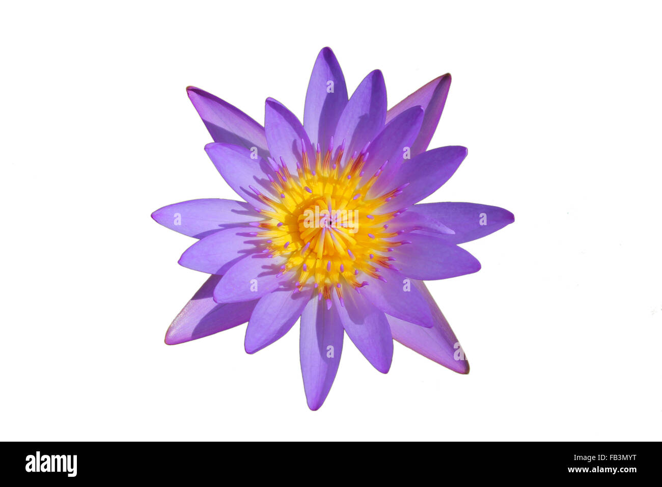 Beautiful top view lake Cut Out Stock Images & Pictures - Alamy