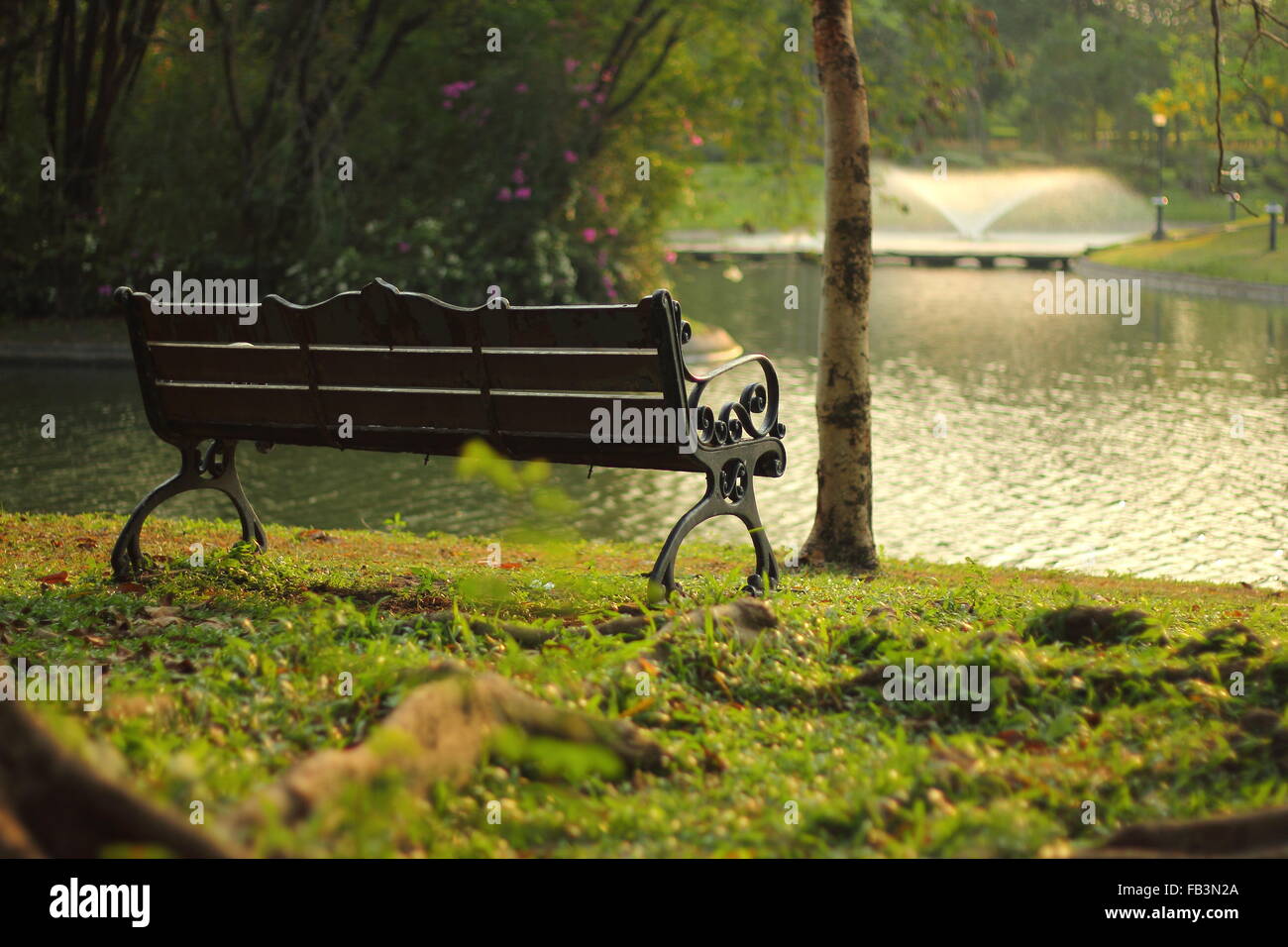 Bench background hi-res stock photography and images - Alamy