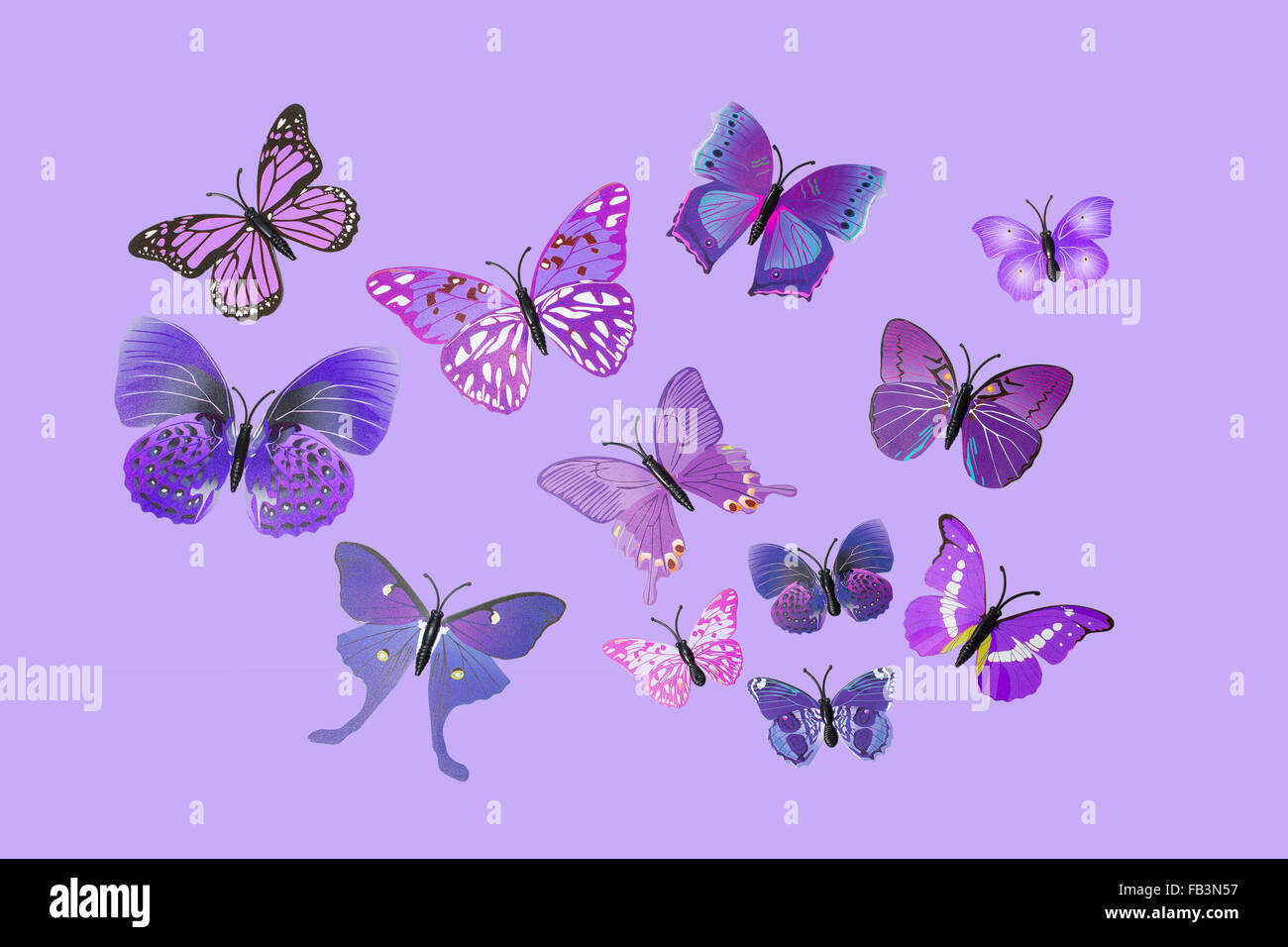 Collection of Purple Fantasy Butterflies Clip Art Stock Photo - Alamy