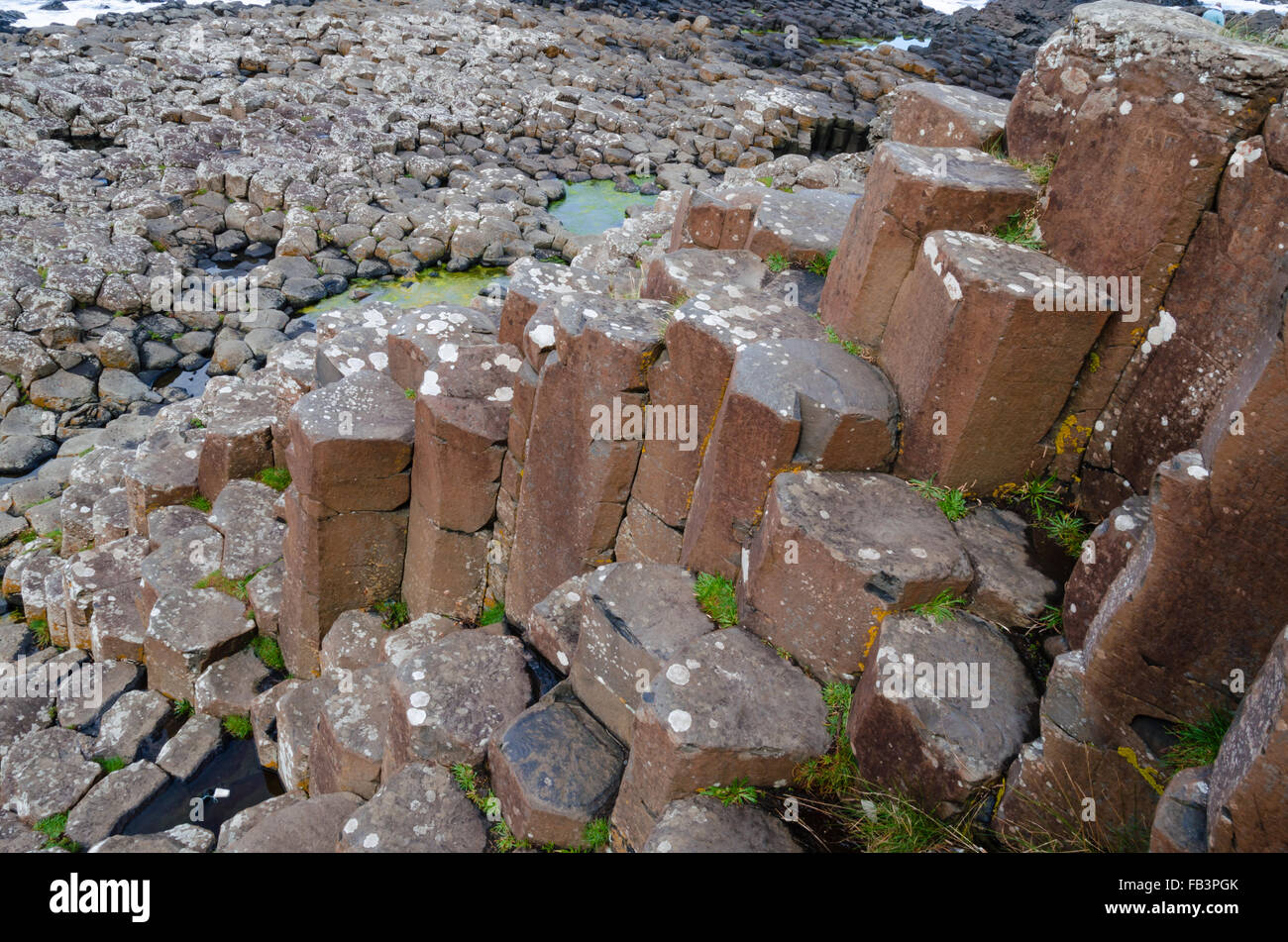 details of the geomorphic columns at the giant's causeway unesco ...