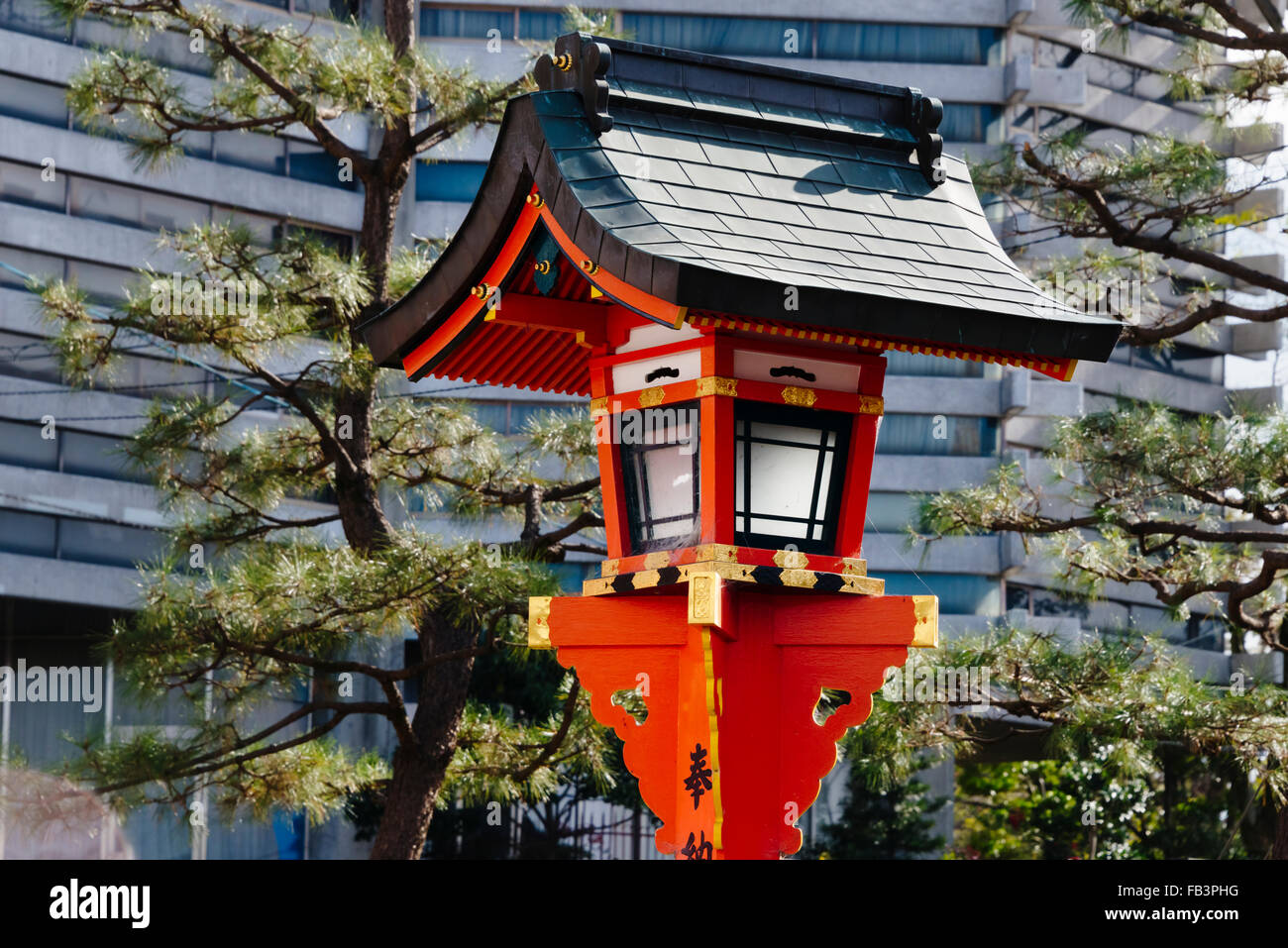 Japanese red pine trees hi-res stock photography and images - Alamy