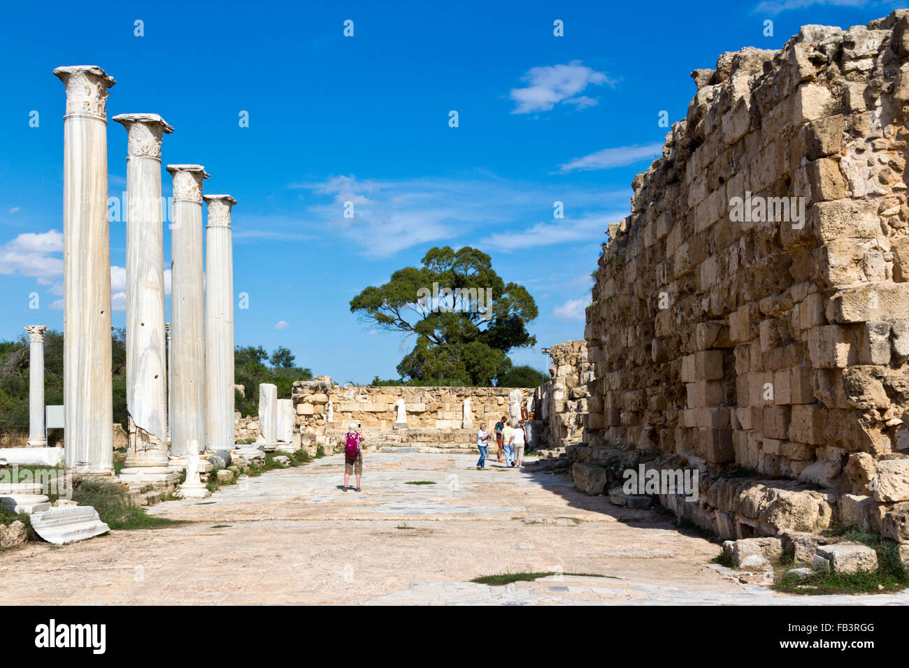 Roman Columns in the ancient Ruins of Salamis, Northern Cyprus Stock ...
