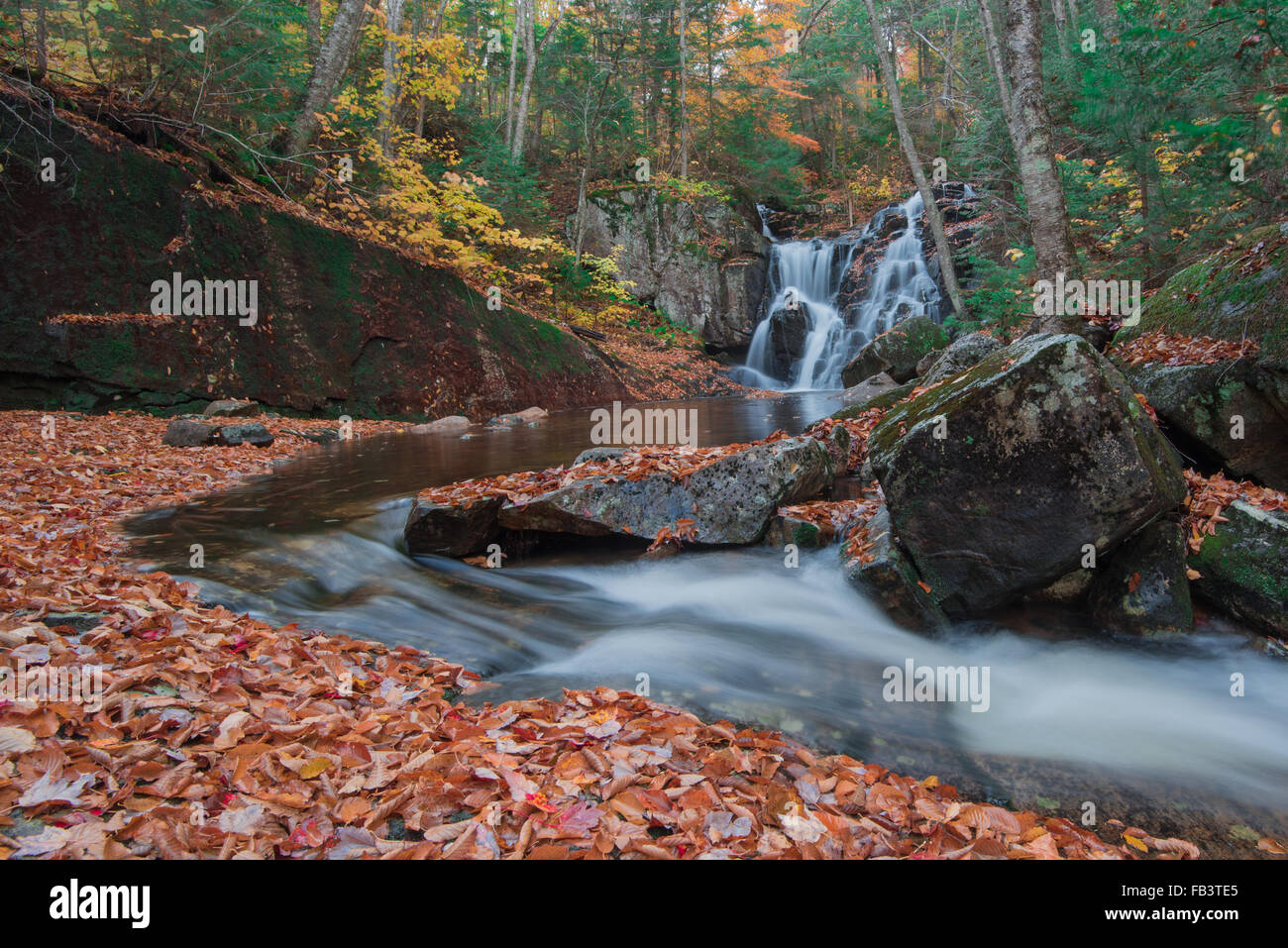 Cold Stream Falls Adirondacks Stock Photo - Alamy
