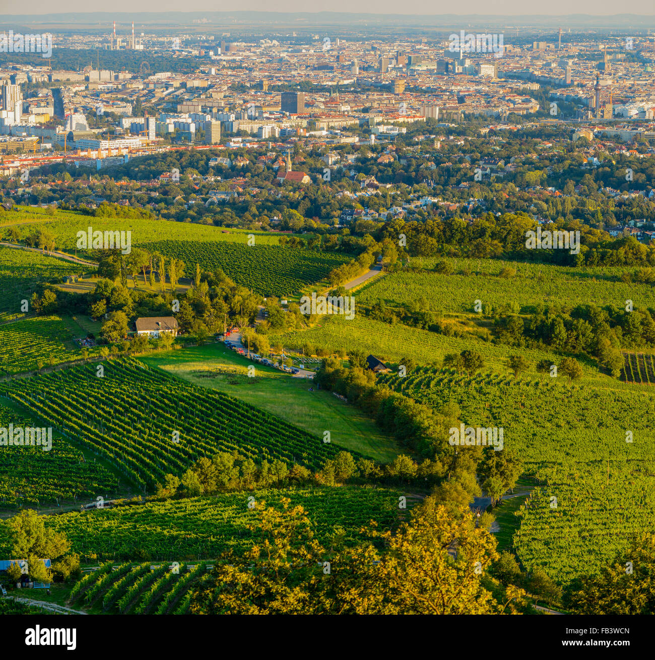 Wien, view from moutain Am Himmel, Vienna, Austria, Central Europe ...