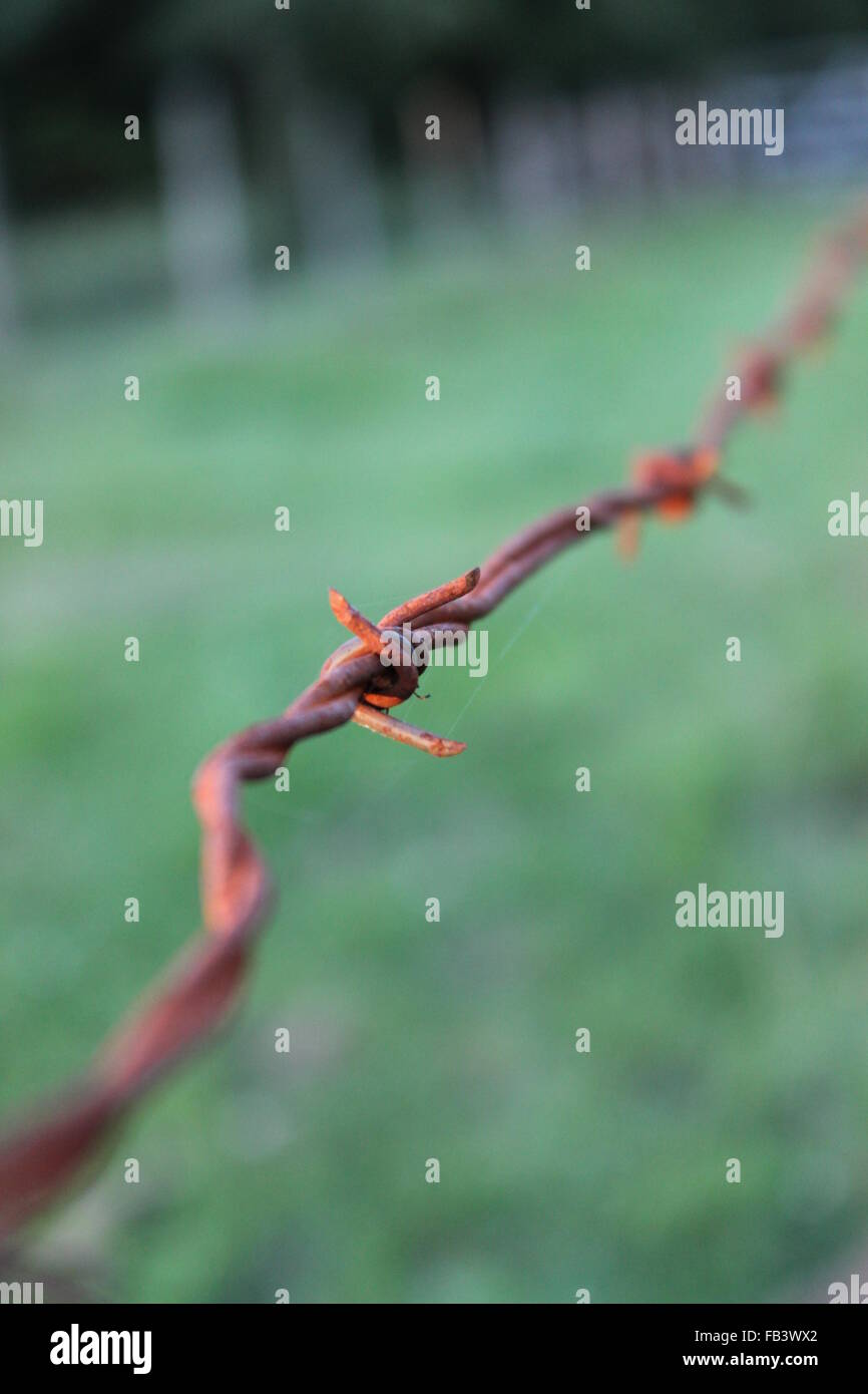 Rusty Barbed Wire Stock Photo - Alamy
