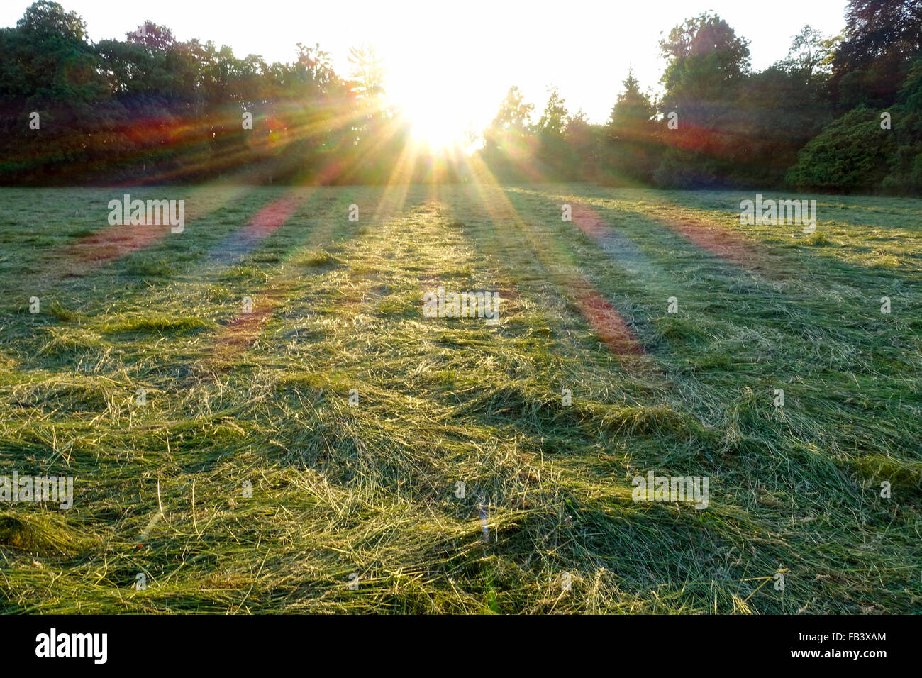 Sunset in Lednice, Czech Republic, Southern Morava, Lednice Stock Photo ...