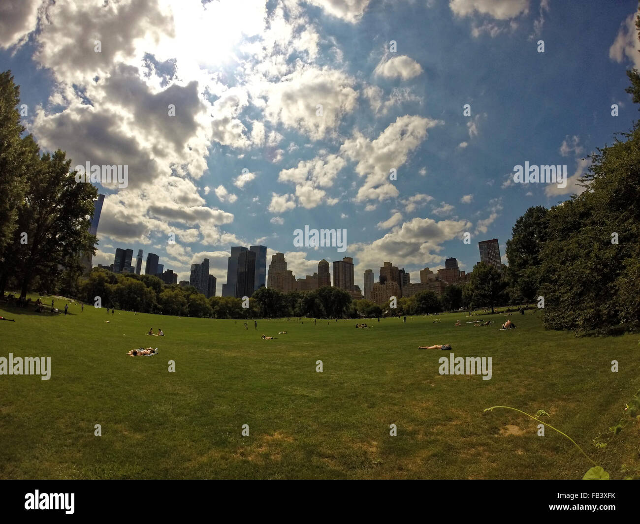 Park new york city usa hi-res stock photography and images - Alamy