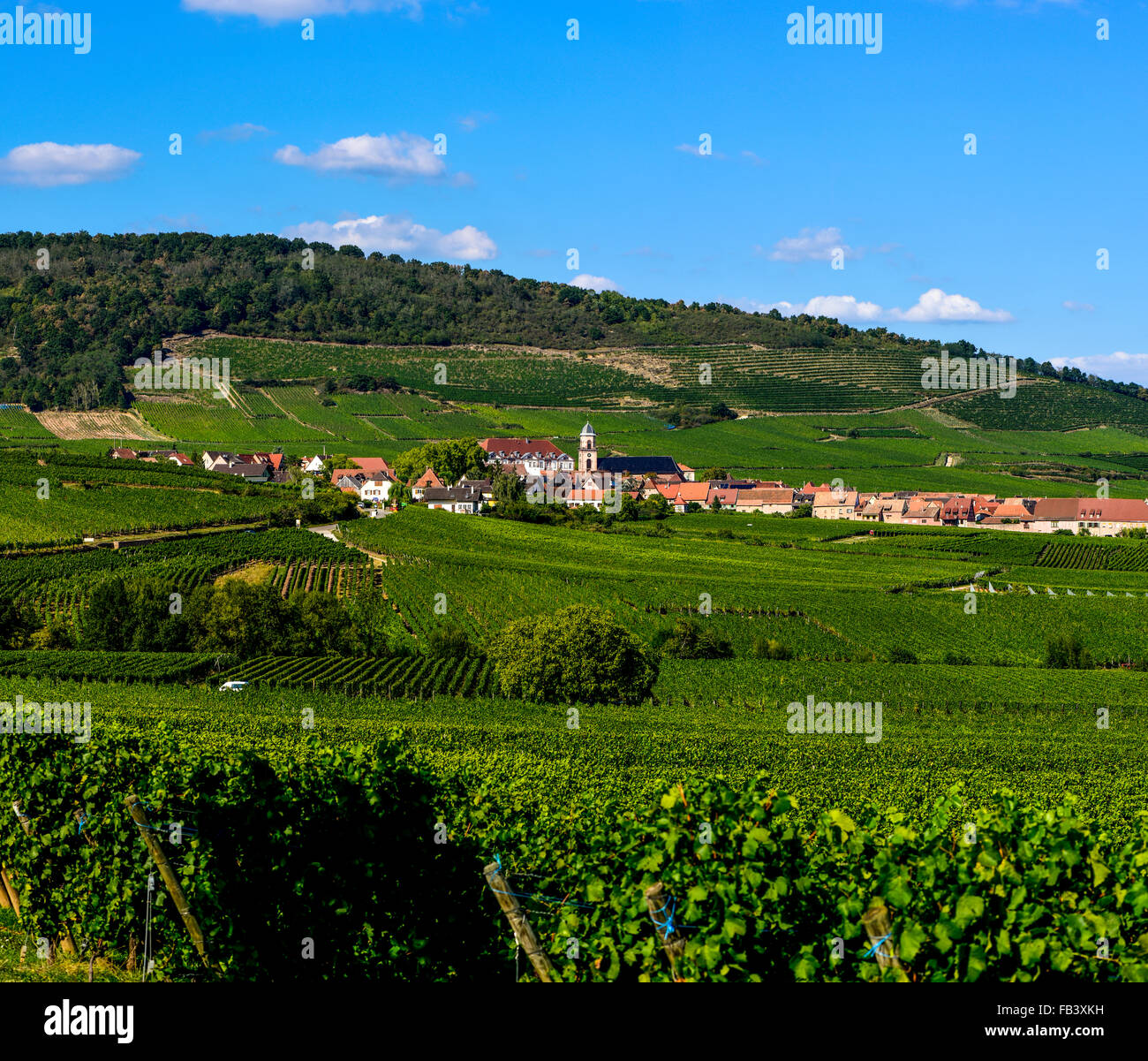 Ensisheim im elsass hi-res stock photography and images - Alamy