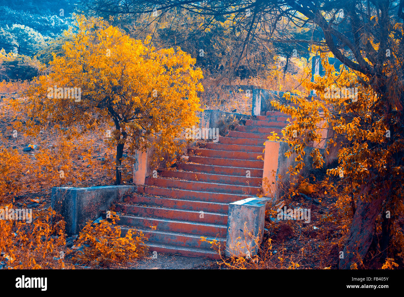 Colonial stairs leading straight to Wellington Dam Stock Photo - Alamy
