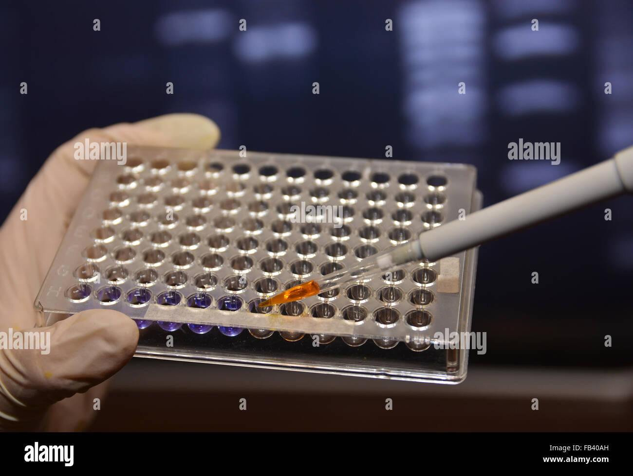 A scientific experiment in the laboratory. The study of biological ...
