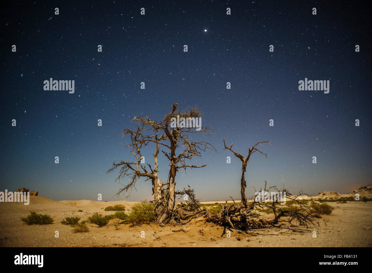 Arabia desert at night hi-res stock photography and images - Alamy