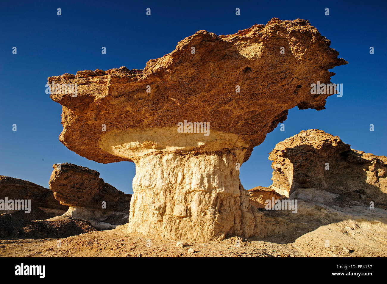 Arabian Desert Asia Stock Photos & Arabian Desert Asia Stock Images - Alamy