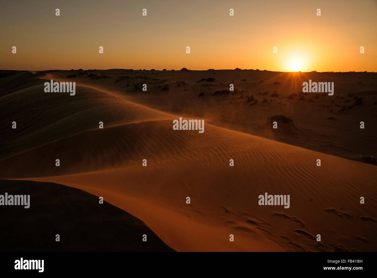 Evening landscape of Wahiba Sands, Al Sharqiya, Oman, Oman Stock Photo ...