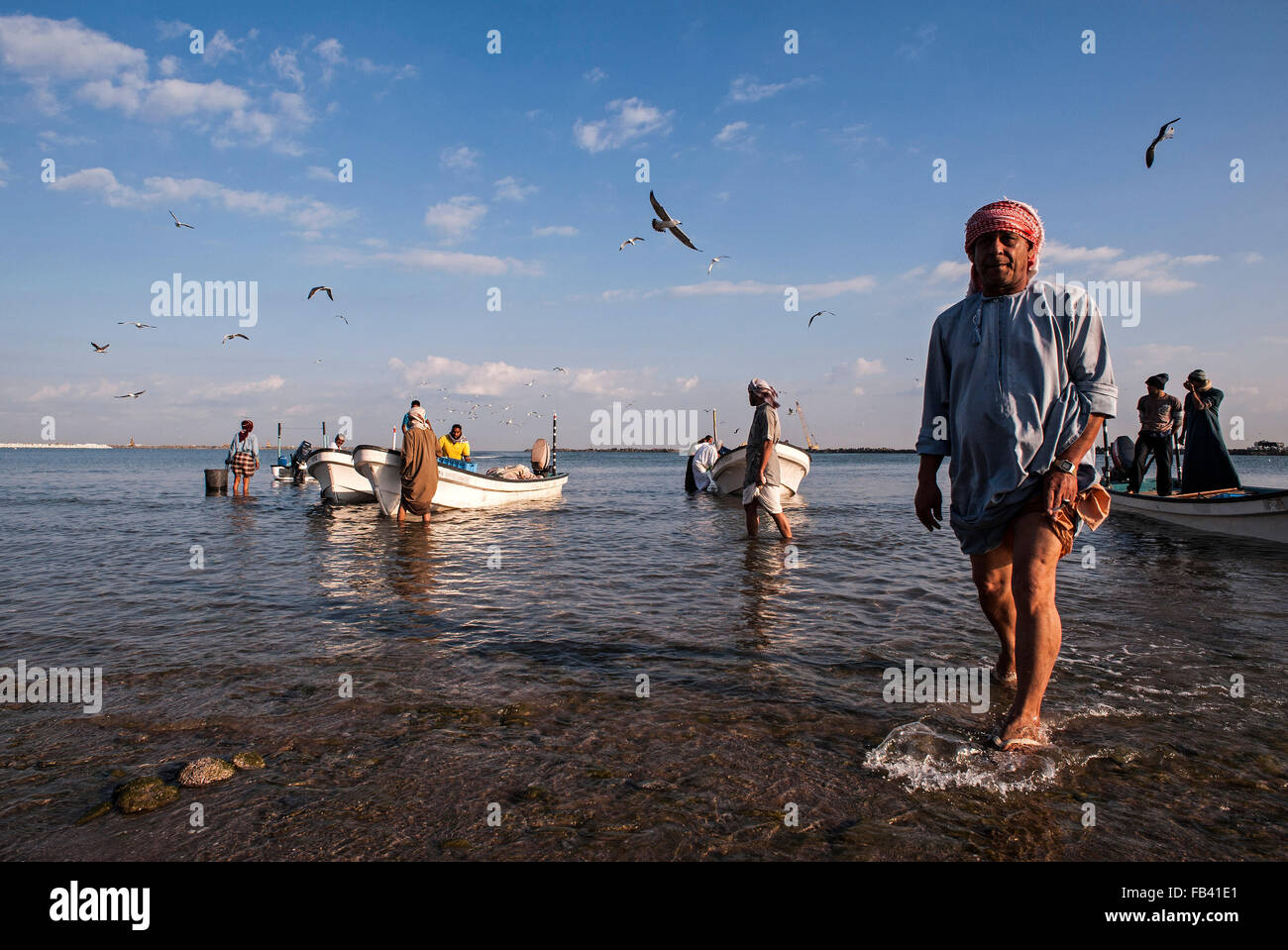 Morning fish market in Barka, Oman Stock Photo - Alamy