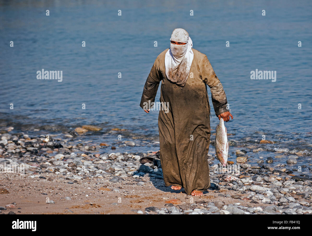 Morning fish market in Barka, Oman Stock Photo - Alamy