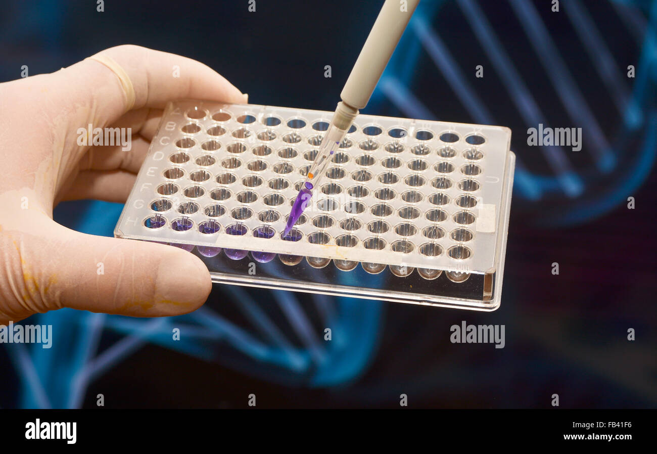 Human dna screening hi-res stock photography and images - Alamy