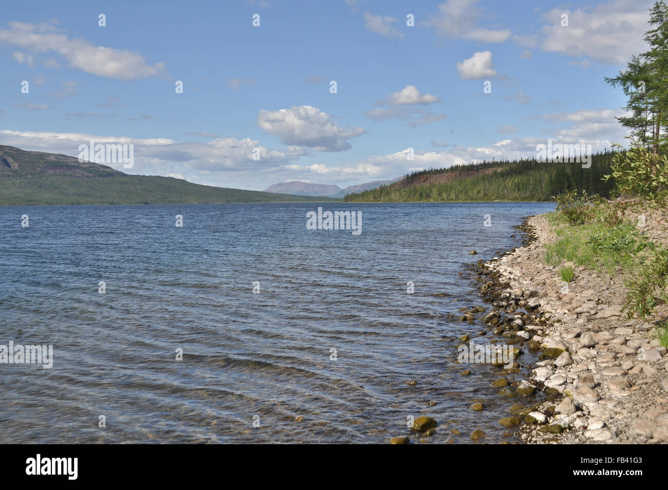 Bank of the lakes on the Putorana plateau. Summer water landscape with ...