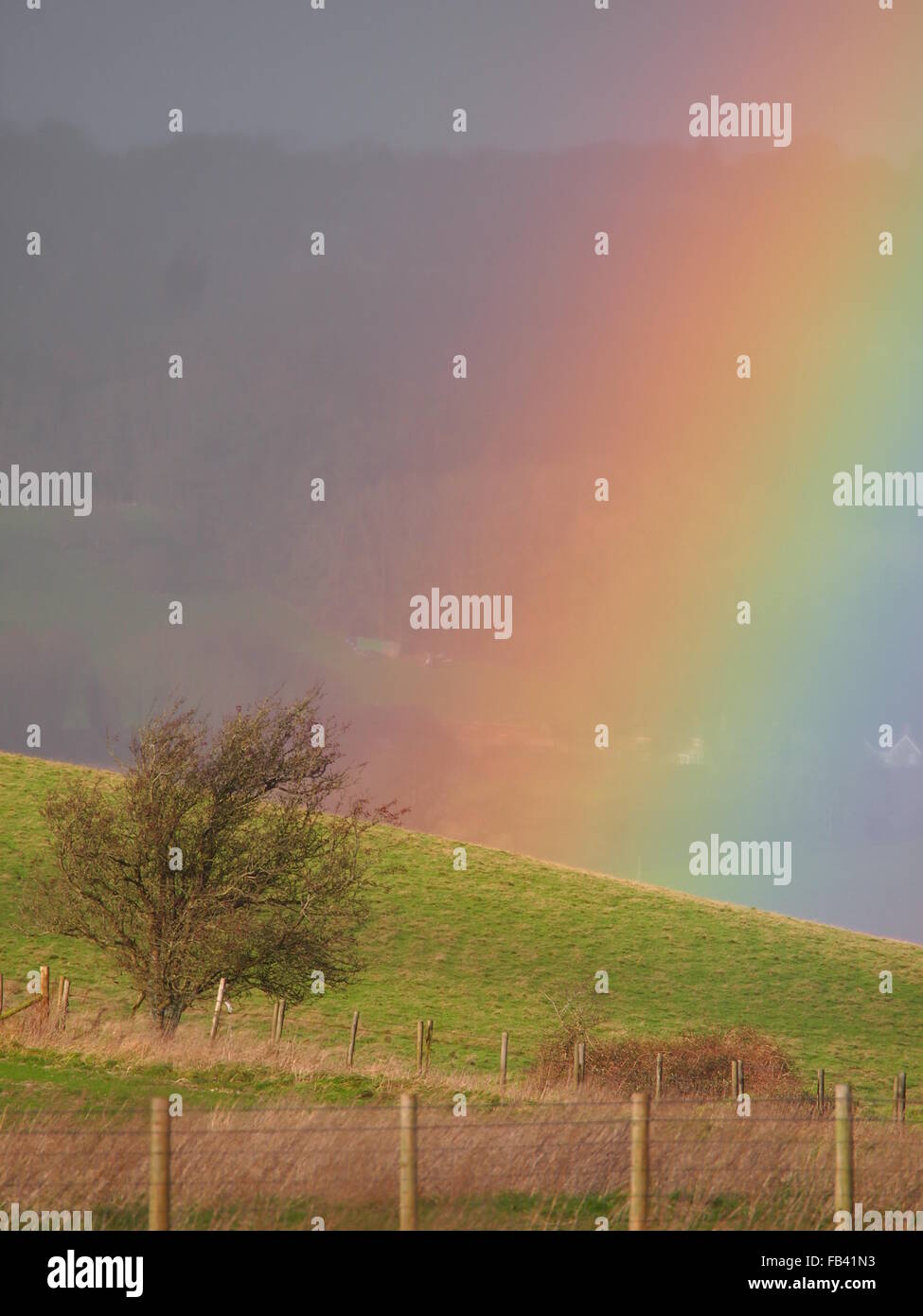 close up of a weather rainbow with green landscape fields and a tree on ...