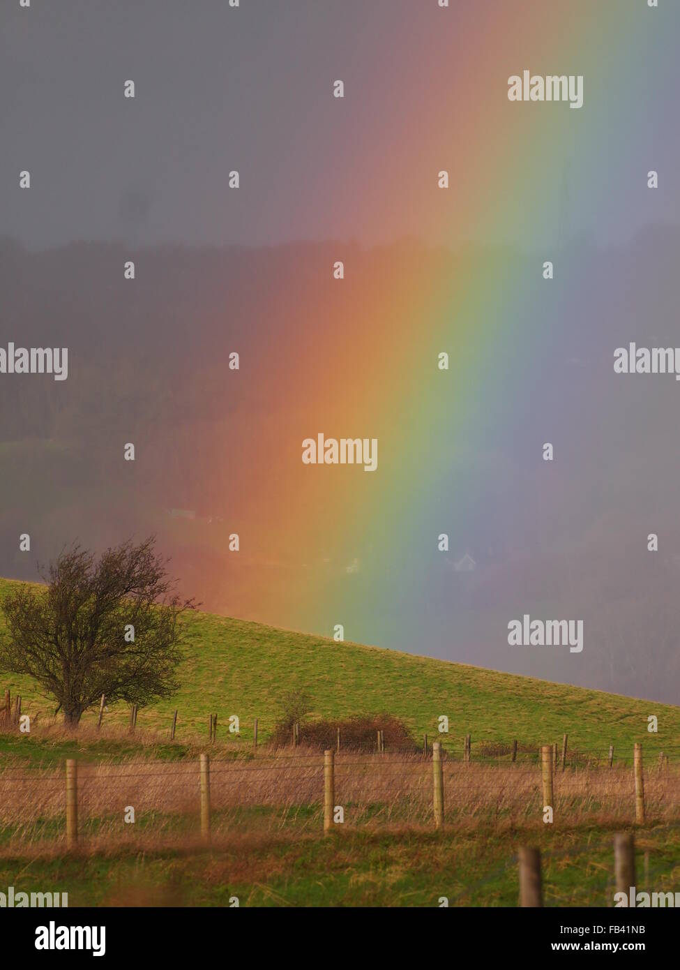 close up of rainbow with bright multi colours Stock Photo - Alamy