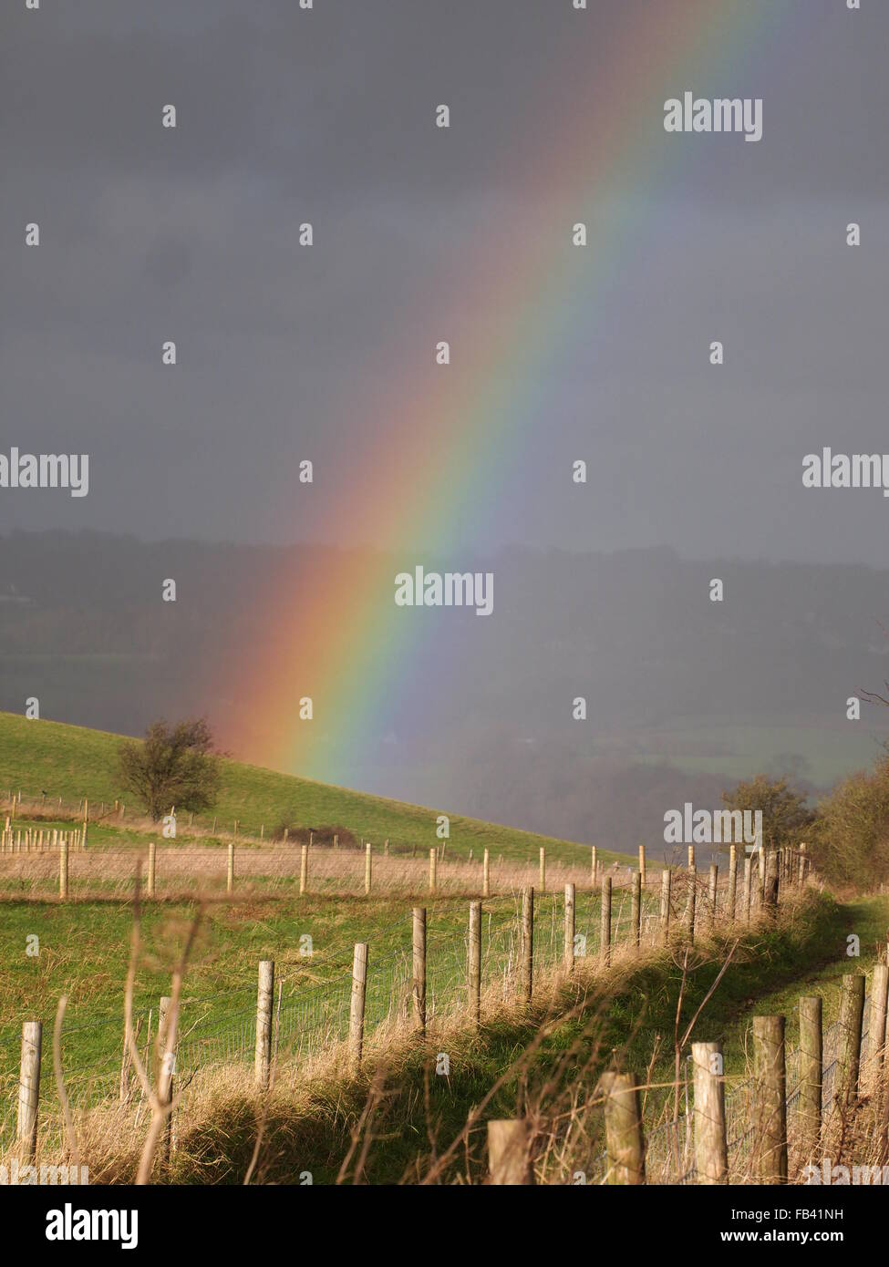 rainbow part left hand side green field, trees disappearing fence line ...