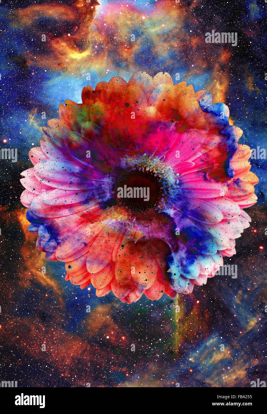 Space and stars with flower, color galaxi background, computer collage ...