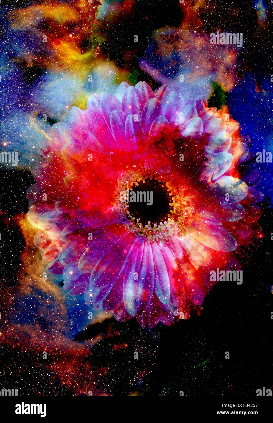 Space and stars with flower, color galaxi background, computer collage ...