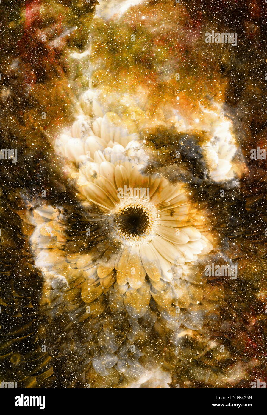 Space and stars with flower, color galaxi background, computer collage ...