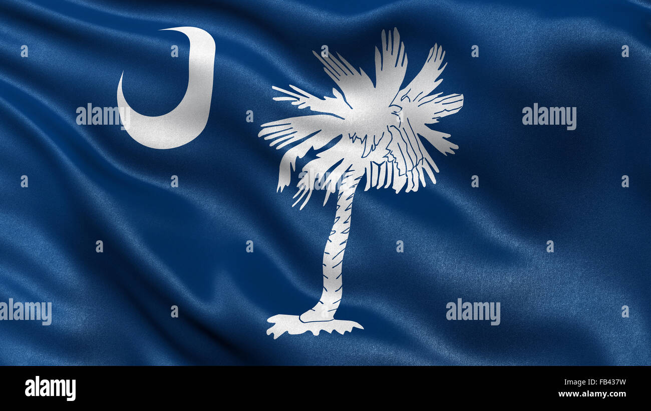 US state flag of South Carolina Stock Photo - Alamy