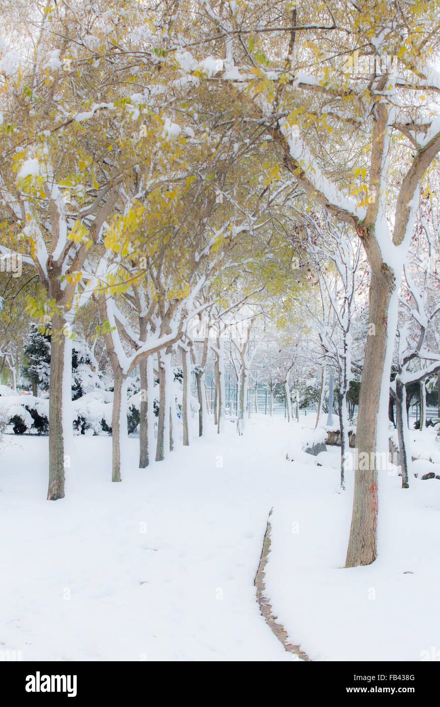 Tuzla turkey hi-res stock photography and images - Alamy