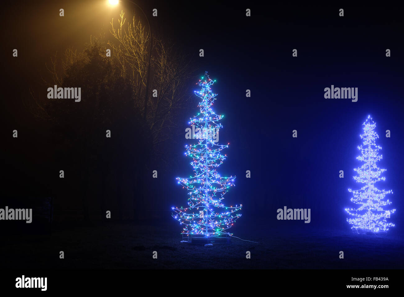 Christmas Tree with Multi Colored Lights at Night Stock Photo - Alamy