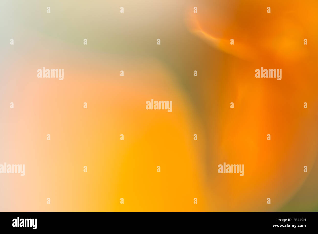 Marigold abstract hi-res stock photography and images - Alamy